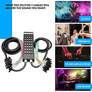 Seismic Audio - New 32 Channel XLR Send Splitter Snake Cable with Box - Two Trunks 15' and 30' Fantails - Pro Audio Stage, Studio, Road Split Y Extension Cables