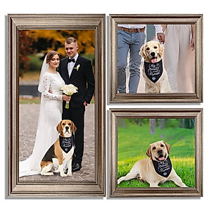 Engagement Gifts, My Humans are Getting Married She Said Yes Dog Bandana Samll, Engagement Party Decorations, Wedding Photo Prop, Pet Scarf Engagement Announcement, Bride Accessories(White Black)
