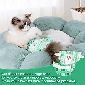 Pet Soft Disposable Cat Diapers - Diapers for Female & Male Cats, Puppy Doggie Diapers for Female Dogs with Adjustable Foam Tail Hole, Medium (24Pcs, Green)