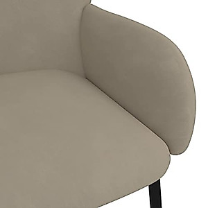 vidaXL Dining Chairs in Light Gray Velvet - Elegant, Modern Design, Comfortable Foam Filling, for Living Room, Dining Room, and More - Set of 2