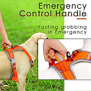 ThinkPet No Pull Harness Breathable Sport Harness with Handle-Dog Harnesses Reflective Adjustable for Medium Large Dogs,Back/Front Clip for Easy Control M Neon Orange