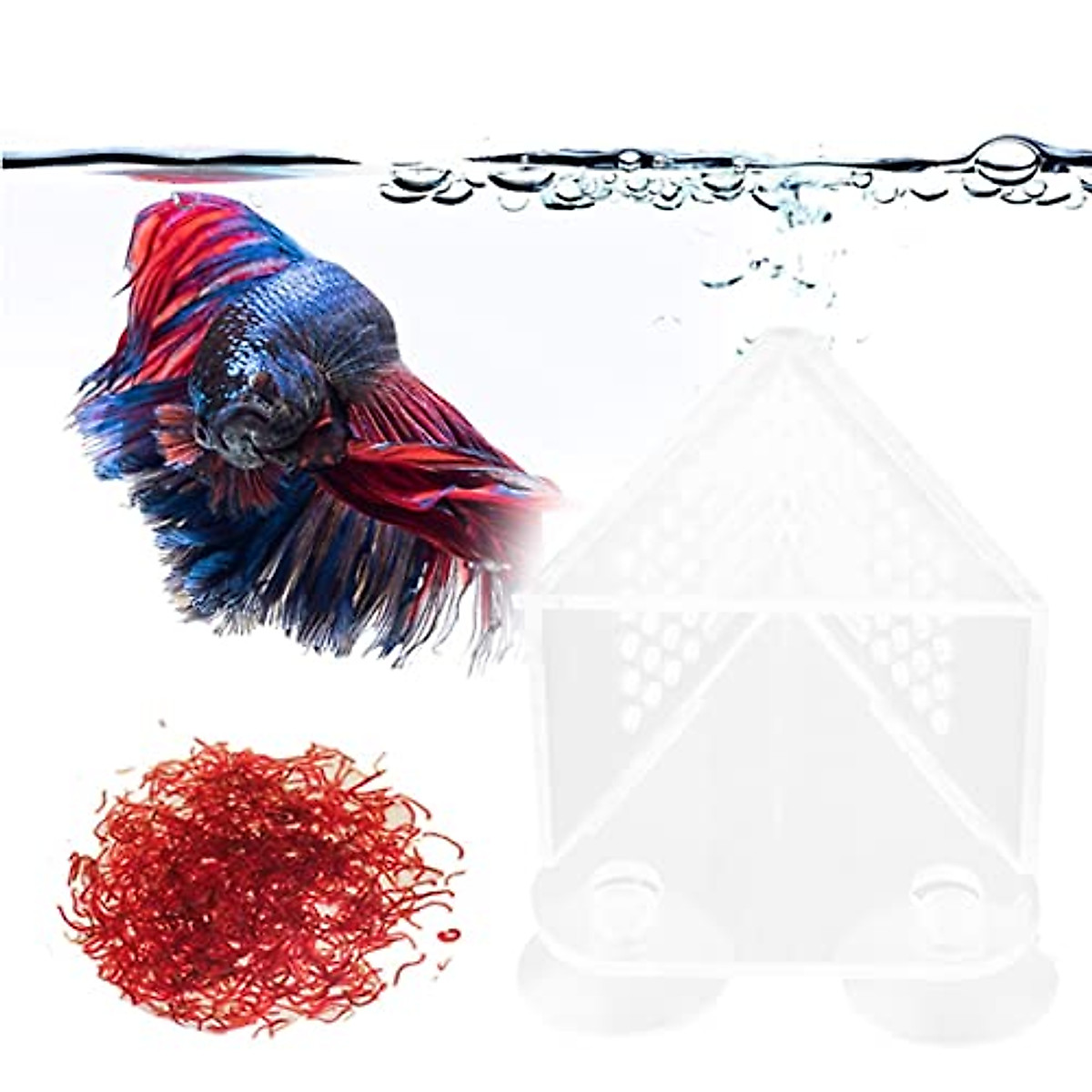 Pssopp Aquarium Cone Red Worm Feeder Fish Tank V-Shape Brine Shrimp Feeder Acrylic Fish Feeding Cup with Suction Cups and Tweezer