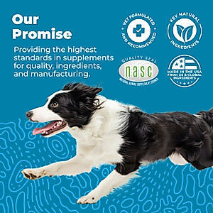 Glandex by Vetnique Daily Probiotics for Dogs with Prebiotics for Optimal Gut Health & Immune Support with Digestive Enzyme & Fiber All Natural Bacon Flavor Soft Chews (60ct Soft Chews)