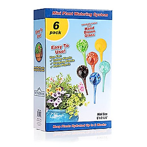 Wyndham House, 6 Piece Small Watering Globe Set, Colorful Hand-Blown Glass Plant Watering System