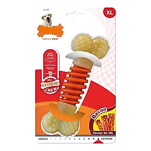 Nylabone Pro Action Dental Device Dog Chew Toy [Set of 2] Size: Large