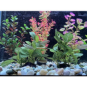 Otimark 2 Piece Realistic Faux Silk Aquarium Ficus Tree Cool Small Betta Fish Tank Grass Fake Artificial Plants Plastic Decorations Ornament