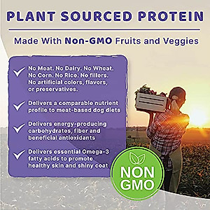 Halo Garden of Vegan Dog Treats, Training Treats for Dogs, Peanut N' Pumpkin 8oz Bag