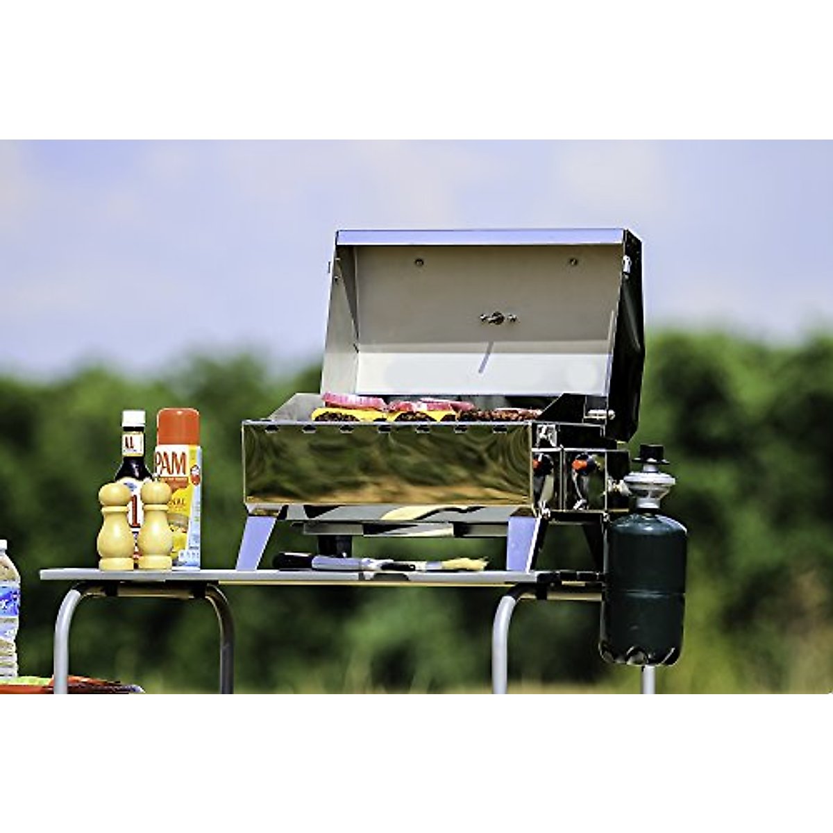 Camco Grill-Stow N Go 125 Portable Propane Gas Grill with Push Button Igniter, Temperature Gauge, and Storage Bag for RV, Tailgating, and Camping
