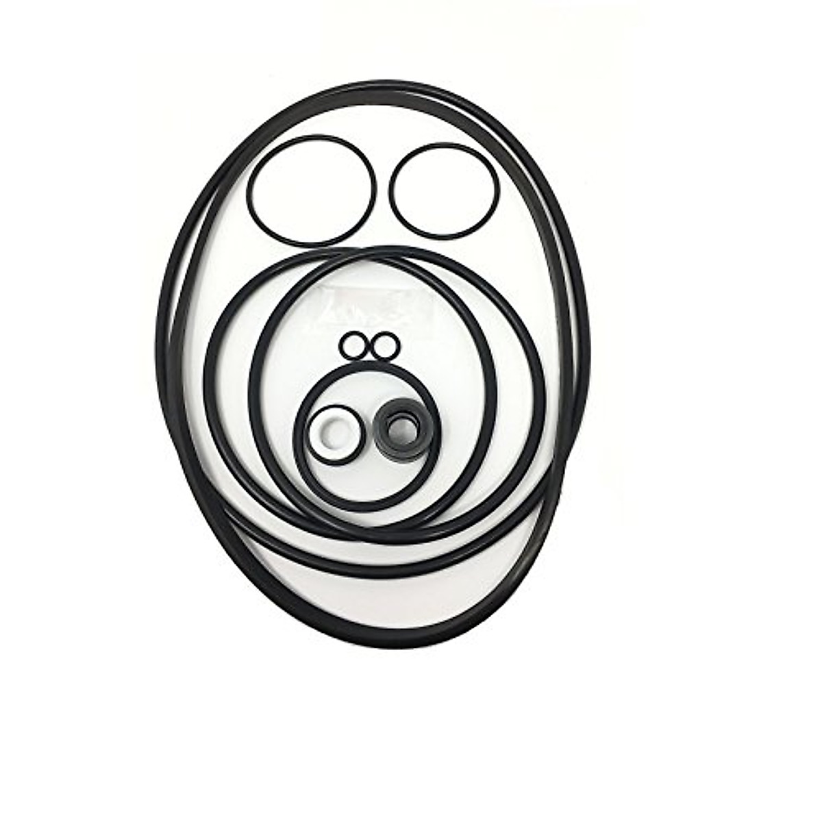 Southeastern O-Ring Seal Repair Rebuild Kit for Pentair Challenger High Flow High PSI Waterfall Pump
