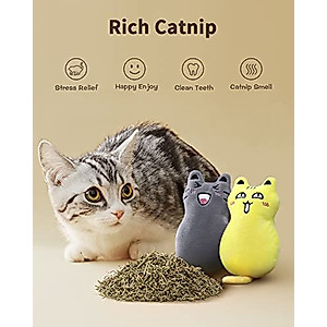 Feeko 5Pcs Catnip Toys, Cat Pillow Toys, Rattle Sound, Cat Toys for Indoor Cats Interactive with Cute Cat Toy Set, Cat Teething Chew Toy, Bite Resistant Catnip Toys Plush Gift
