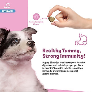 Snuggle Puppy Puppy Bites Gut Health Supplement - Dog Probiotics & Prebiotics for Gut Health - Pet Supplement and Supplies for Dog Health - Dog Digestive Health Support - 60 Soft Chews