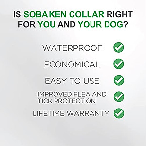 8-Month Protection Dog Flea Collars & Tick Collar - No Irritation, Baldness, or Side Effects - Suitable for Small, Medium, Large Dogs - 25 lnch - Natural flea and tick Collar for Dogs - 1 Pack
