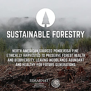 PIPE DECOR RESTORE Wood for Console Table Top or Bench 48 in. x 16 in. x 1.25 in. Reclaimed Ponderosa Pine Wood in Sunset Cedar Stain