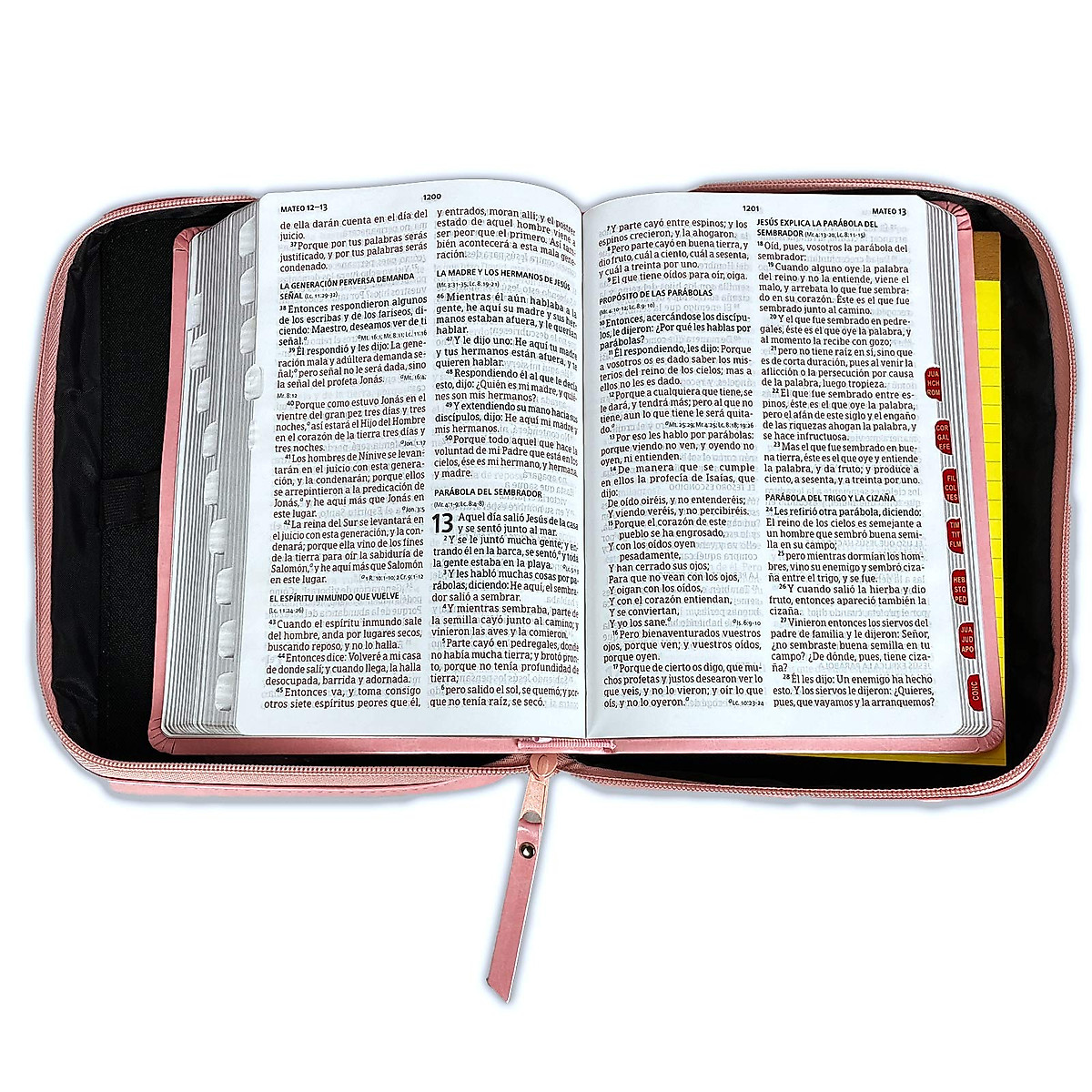 Biblia Letra Grande para Mujer con Cierre y Forro Organizador RV 1960 rosado con indice - My Organizer Bible