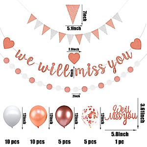 We Will Miss You Banner Coworker Going Away Farewell Decorations Rose Gold Glitter Dot Circle Garland Triangle Flag Banner For Goodbye, Retirement, Job Change, Later Traitor Party Supplies (Rose Gold)