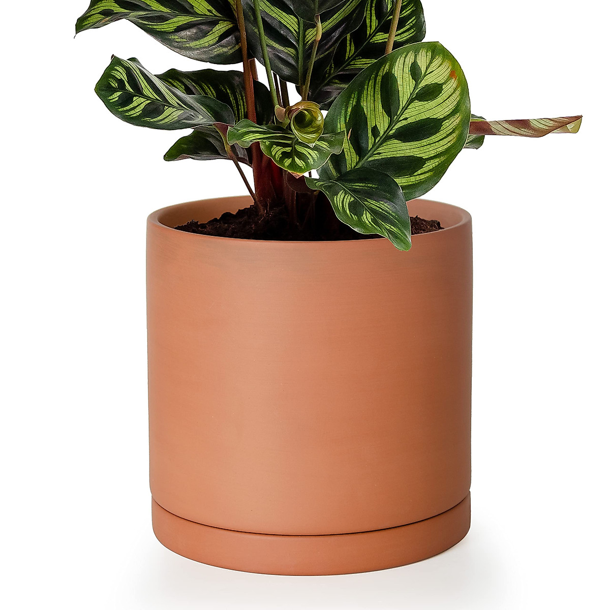 D'vine Dev Medium 8 Inch Terracotta Plant Pot with Drainage Hole and Saucer, Round Cylinder Planter Pot for Indoor Plants, 40-X-A-4