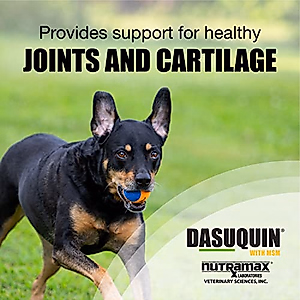 Nutramax Laboratories Dasuquin with MSM Joint Health Supplement for Large Dogs - With Glucosamine, MSM, Chondroitin, ASU, Boswellia Serrata Extract, and Green Tea Extract, 84 Soft Chews