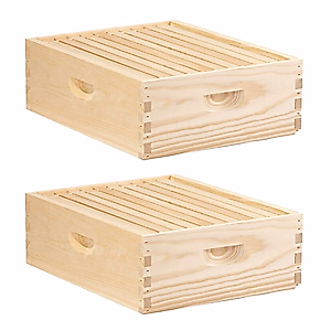 Little Giant 10 Frame Medium Honey Super Beehive Brood Body Wood Box (2 Pack)