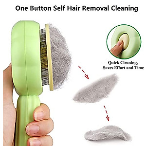AESALUTOY Cat Brush for Shedding Indoor Cats - Cat Hair Brush for Deshedding Long Haired Cats, Self Cleaning Cat Grooming Brush, Slicker Brush for Cats, Kitten and Short Haired Dogs, Cat Fur Comb Brush with Two Cat Hair Combs(Green)