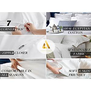 Duvet Cover Set Queen 600 TC Luxury Soft Brushed 3pcs with Elegant 3-Line Embroidery 1Duvet Cover & 2Pillow Sham with Zipper Closure, for All Seasons Taupe Solid by Americancomfy