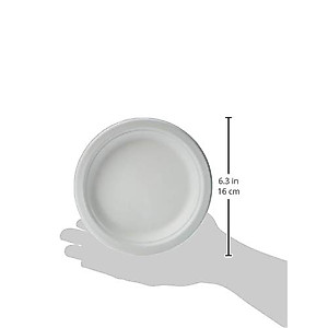 Amazon Basics Compostable Plates, 6-Inches, 125 Count