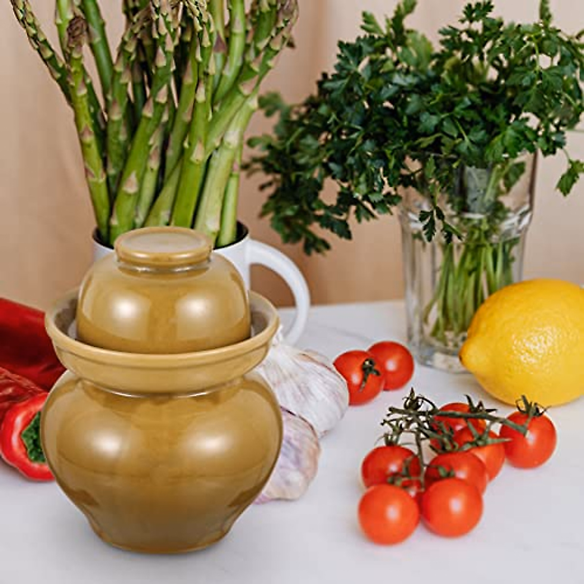 KOAIUS 1kg Terracotta Traditional Chinese Fermenting Jar Stoneware Pickles Jar with Water Sealed Airlock Lid Ceramic Food Canister Bottle for Pickling Kimchi Sauerkraut jar