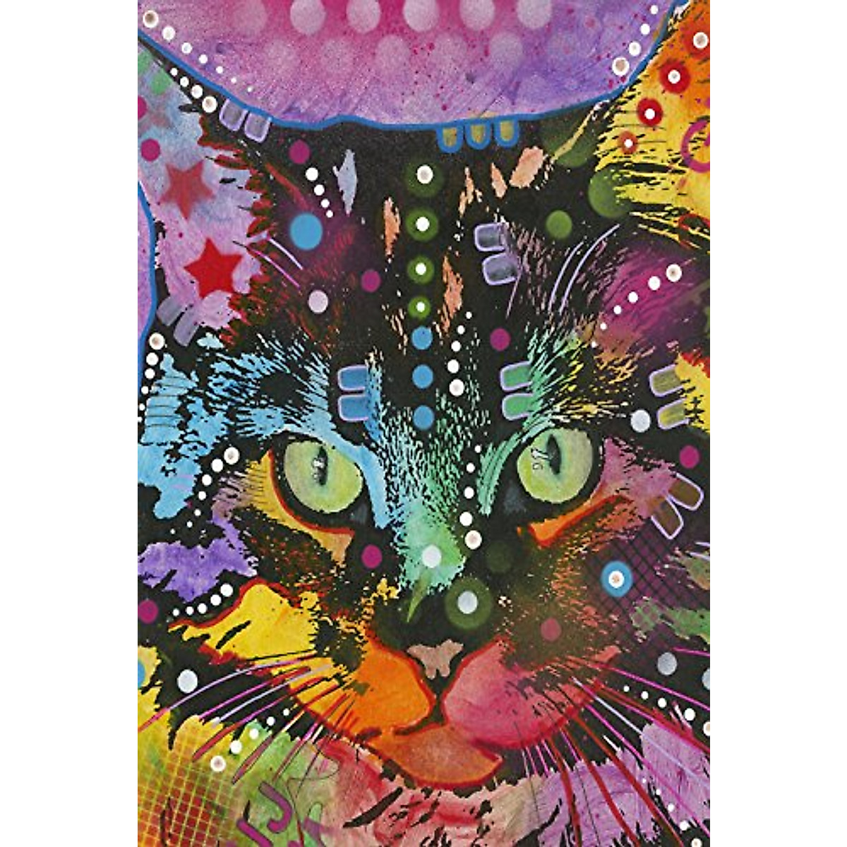 Toland Home Garden 1010915 Neon Cat Cat Flag 28x40 Inch Double Sided Cat Garden Flag for Outdoor House Kitten Flag Yard Decoration