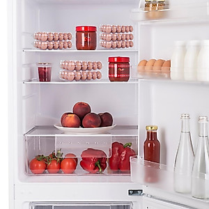 Oungy 36 PCS Plastic Egg Cartons Cheap Bulk 24 Count Clear Blank Egg Cartons with Free Labels Holds up to 24 Eggs Securely Reusable Egg Carton for Family Pasture Chicken Farm Market Display, 4x6 Grids