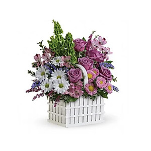 Bushy Delight - Same Day Sympathy Flowers Delivery - Sympathy Flower - Sympathy Gifts - Send Online Sympathy Plants & Flowers