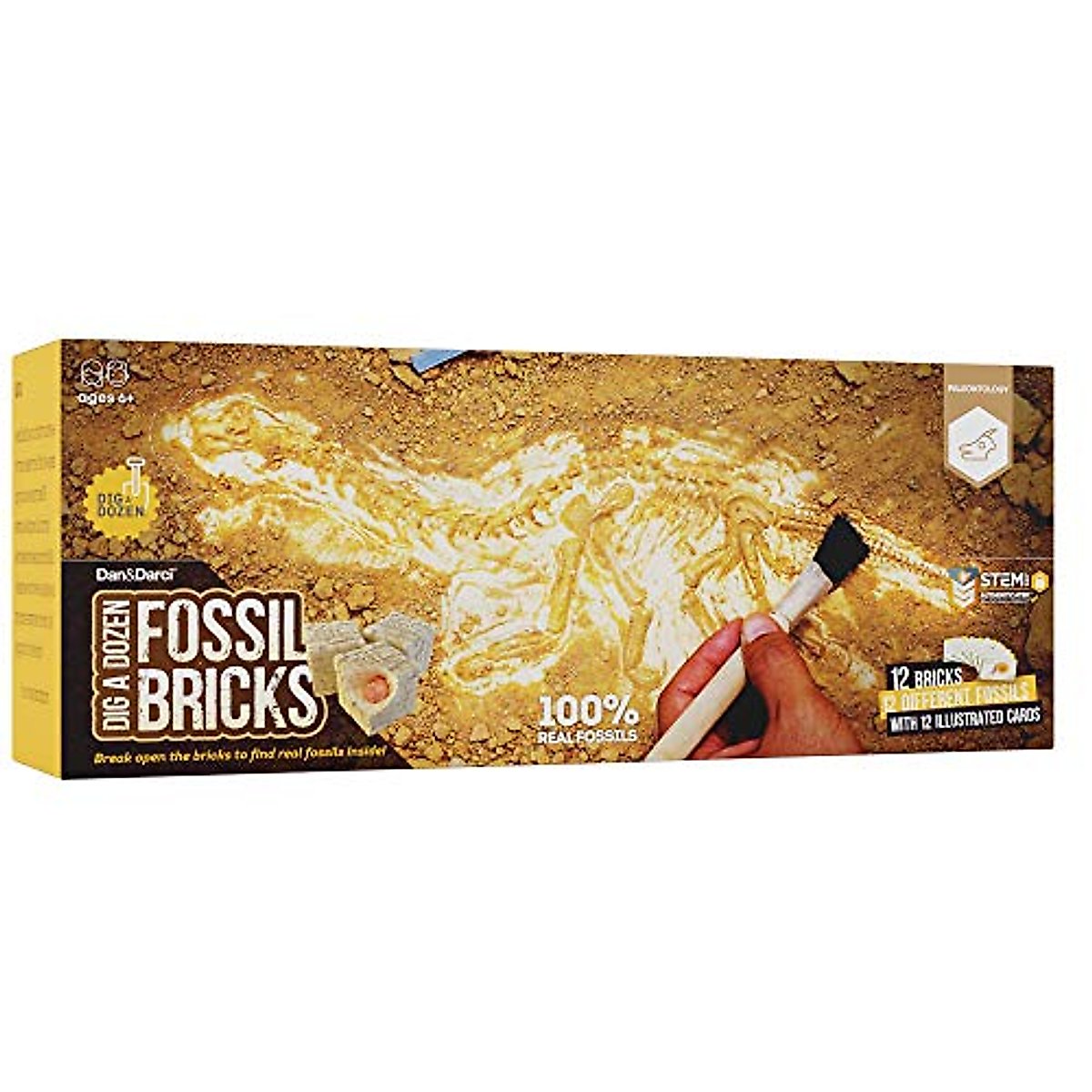 Dig a Dozen Fossil Bricks - Break Open 12 Bricks and Discover 12 Unique Real Fossils - Archaeology Science STEM Gift