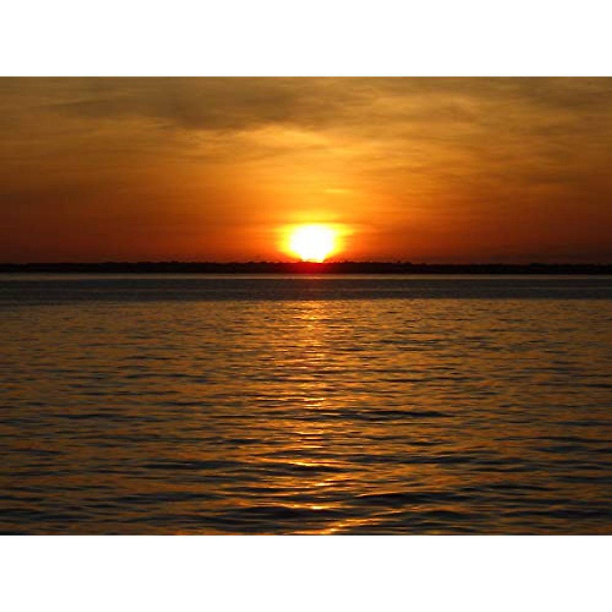 Ricoh WG-70 Orange Waterproof Digital Camera 16MP