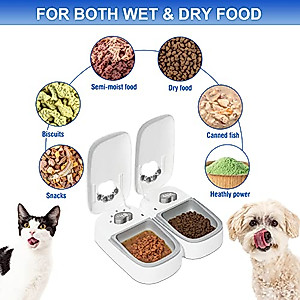 PeTnessGO Automatic 2 Meals Cat Feeder, Pet Feeder with Programmable Timer, LED Display, Power Saving Mode, Dishwasher-Safe Tray Feeds Wet or Dry Food, Dispenser for Cat and Dog, 48-Hour Timed