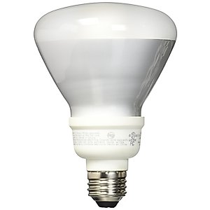 TCP 6R3014 CFL R30 - 65 Watt Equivalent (only 14W used) Soft White (2700k) Covered Flood Light Bulb