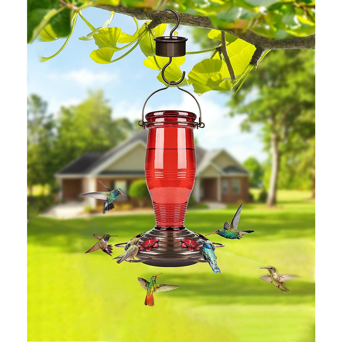 BOLITE 18006CR Hummingbird Feeder, Vintage Bottle Glass Hummingbird Feeders for Outdoors, 25 Ounces, Red