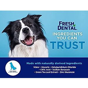 Naturel Promise Fresh Dental Water Additive - Dental Health Solution for Dogs - Easy to Use - Helps Clean Teeth - Freshens Breath Up to 12 Hours - No Brushing Required - 18 Fl Oz, 3 Pack