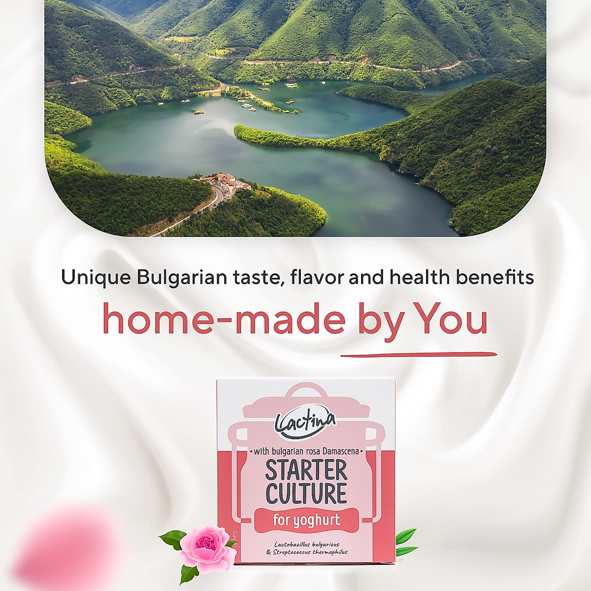 Bulgarian Yogurt Starter Culture Natural Probiotic Yogurt Culture Starter Homemade Yoghurt Starter 10 Liters Lactobacillus bulgaricus (Rose)