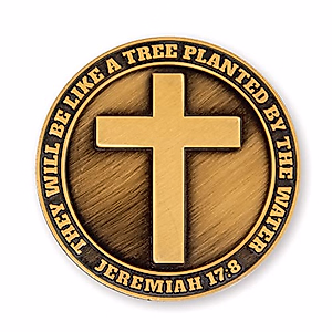 Trust in The Lord Lion Challenge Coin, Bulk Pack of 10 Christian Pocket Tokens, Bible Study Supplies for Men, Bible Verse Worry Coin for Prayer, Religious EDC Coins for Police & Military Veterans