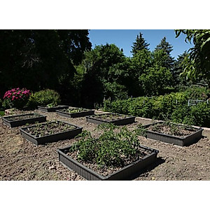 Lifetime 60069 Raised Garden Bed Kit, 4 by 4 Feet, Pack of 3