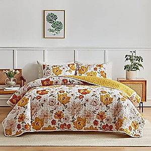 UOZZI BEDDING Quilt Set Queen Full Size 88x88 3 PC Reversible Soft Microfiber Lightweight Coverlet Bedspread Summer Comforter Set Bed Cover for All Season (1 Quilt+ 2 Shams)