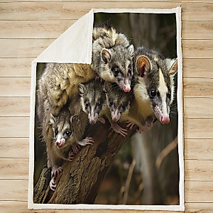 jejeloiu Opossum Sherpa Blanket Twin 60"x80" Possums Fleece Throw Blanket for Kids Boys Girls Possum Gifts Fuzzy Plush Blanket Possum Stuffed Animal Possum Family Flannel Blanket Bedroom