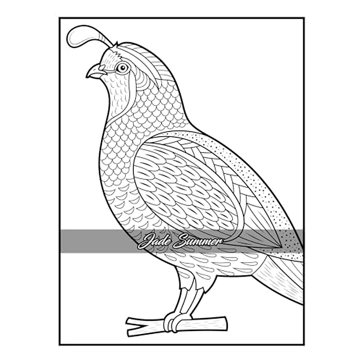 100 Animals: An Adult Coloring Book with Lions, Elephants, Owls, Horses, Dogs, Cats, and Many More!