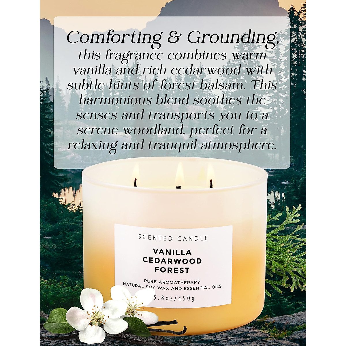 Vanilla Cedarwood Forest Candle - Large 3 Wick Scented Candle - Winter Balsam Fir Candle with Clove & Cedar - Natural Soy Candle for Home 15.8 oz - Aromatherapy Holiday Candle Gift for Women & Men