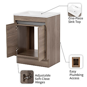 Spring Mill Cabinets Tarni Small Bathroom Vanity with 2-Door Cabinet and White Vanity Top with Sink, 24.5" W x 18.75" D x 32.89" H, Forest Elm
