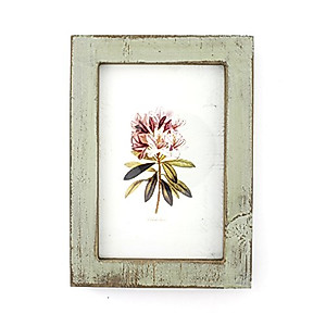 Zhenzan Frames 4x6 Inches Simple Rectangular Desktop Family Picture Photo Frame with Glass Front (Green)