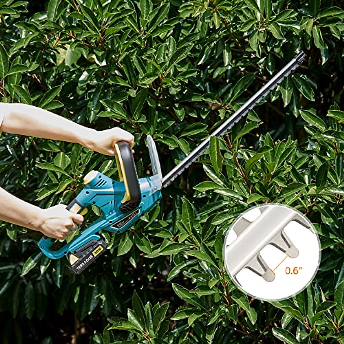 TERRADISE Cordless Hedge Trimmer with 2000mAh Battery Pack and Charger, Gardening Tool for Brush and Hedge Trimming, Electric Bush Cutter with 20" Dual Action Blades for Tree Branches Shrubs More