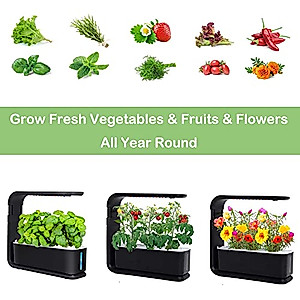 ScienGarden Hydroponics Growing System Indoor Herb Garden Gardening Germination Starter Kit 60 LED Grow Light Height Adjustable Self Watering Automatic Timer Grow 3 Pods Black for Home Kitchen Gifts