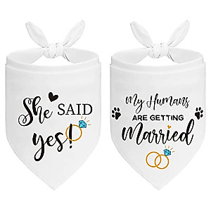 KOOLTAIL Dog Wedding Bandanas, 2 Pack Wedding Gift for Engagement Announcement Photos, Pet Scarf Accessories for Dog Lovers Bridal Show