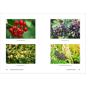 Wilderness Survival Guide: Practical Skills for the Outdoor Adventurer