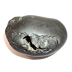 Janardhana Shaligram