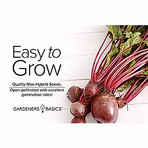Beet Seeds for Planting Detroit Dark Red 100 Heirloom Non-GMO Beets Plant Seeds for Home Garden Vegetables Makes a Great Gift for Gardeners by Gardeners Basics